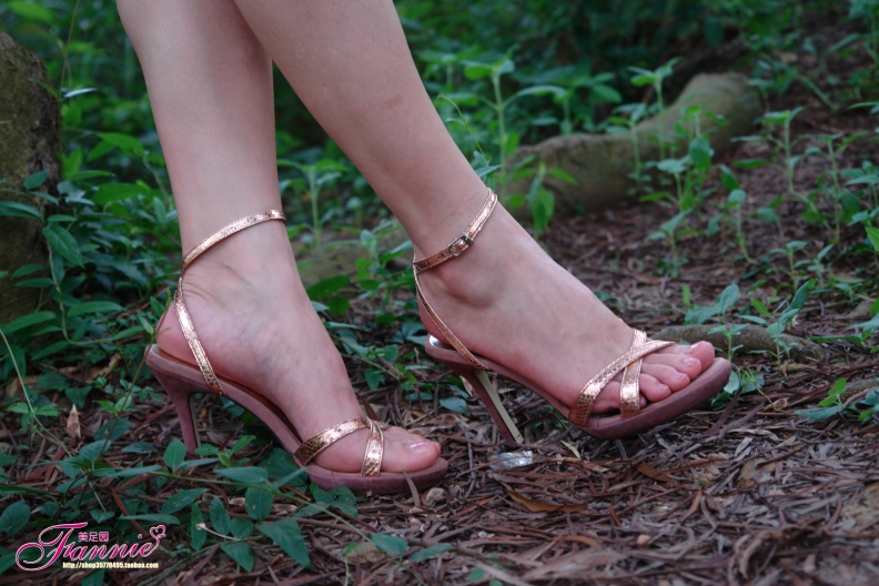 DSC00484 | （福妹）主题相册